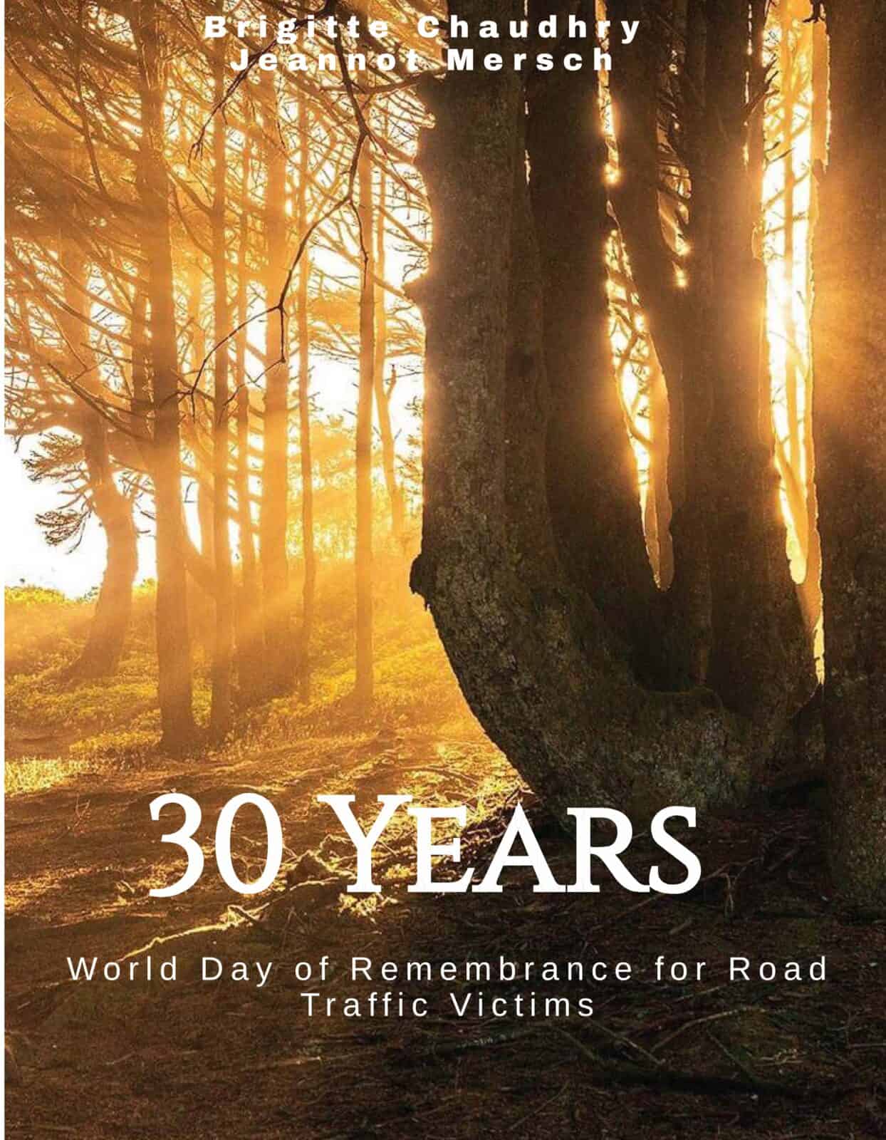 30 Years of WDoR e-Book - World Day of Remembrance